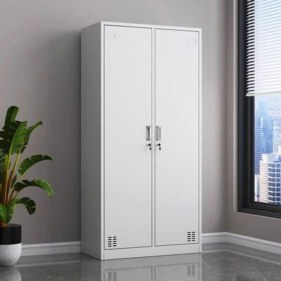 二门不锈钢更衣柜员工收纳柜办公室衣柜浴室鞋柜工厂车间用铁皮柜