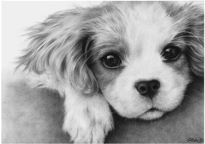 刘年锦绣绣线非印花布DMC十字绣