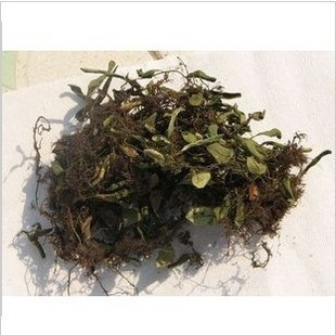 中药材 金星鱼鳖草/瓜子菜/金丝鱼鳖/石瓜米 500克 另有瓜子金