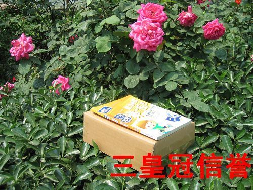 外径185*85*235纸箱子定做瓦楞纸板箱包装纸盒打包物流快递箱