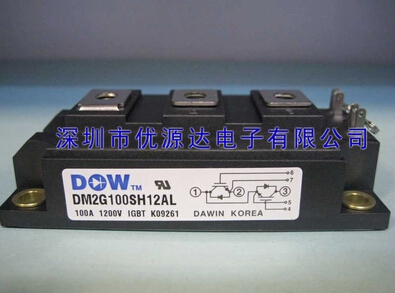 全新原装DM2G100SH12AL 100A 1200V韩国大卫DW模块正品