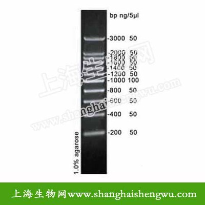 DL200  50T 250ul DNA Marker DNA分子量标准 R04017 核酸电泳