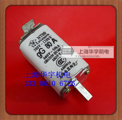 上海飞灵NT00 RT16-00 R031熔断器40A50A63A80A100A125A160A熔芯