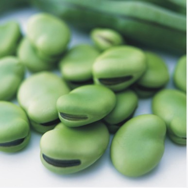 2斤顺丰包邮新鲜季节罗汉豆蔬菜