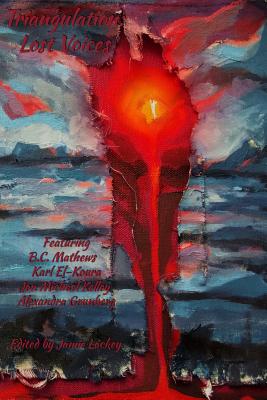 【预售】Triangulation: Lost Voices