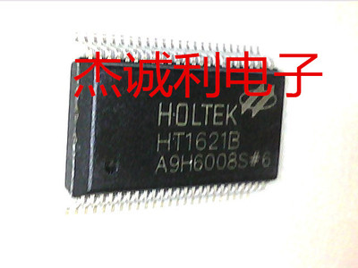 HT1621B HOLTEK SSOP48 原装现货 专业配单欢迎洽谈 采购