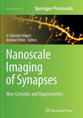 【预订】Nanoscale Imaging of Synapses: New C...