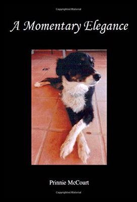 【预售】A Momentary Elegance