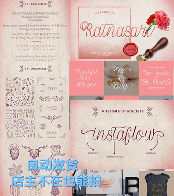 唯美复古飘逸英文手写印刷字体附矢量节日装饰符号 LOGO设计素材