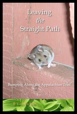 【预售】Leaving the Straight Path: Bumping Along the Appa