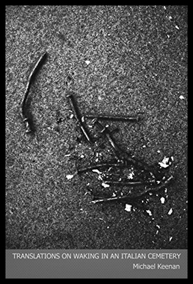 【预售】Translations on Waking in an Italian Cemetery