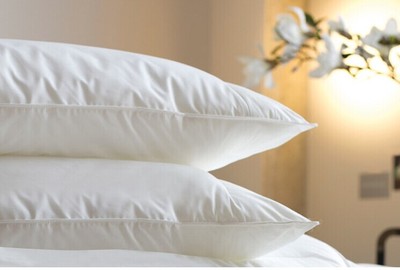 出口外贸原单洲际酒店保健枕枕芯