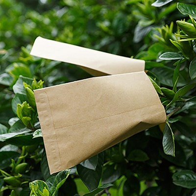 100pc Kraft Paper Bag Cookie bags mini Envelope Gift Bags C