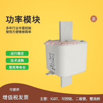 170M6083/6084/6085/6086/6087/6H094/6103/6108快速保险丝熔断器