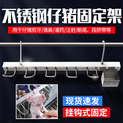 小猪挂猪架猪用断尾灌药滴鼻剪牙挂钩固定架仔猪阉割架打针固定器