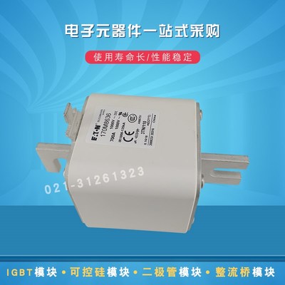 快速熔断器保险丝170M8630 8631 8632 8633 8634 8635 8636 8637