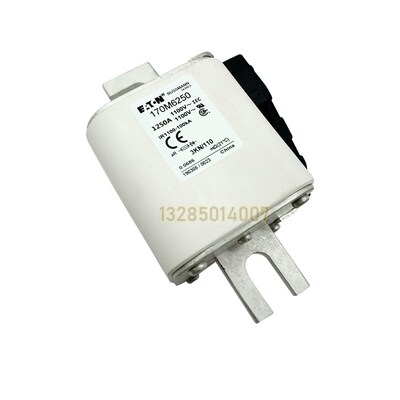 全新快速熔断器保险170M6252 170M6253 170M6254 170M6256