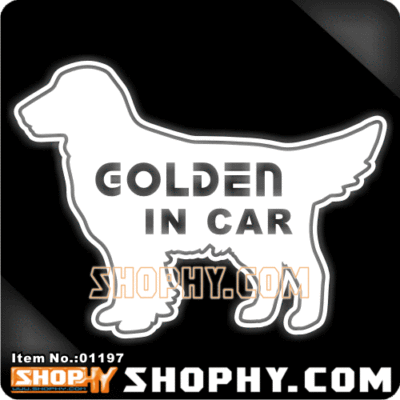 汽车踏板车贴纸3M反光贴01197金毛犬GOLDENINCAR