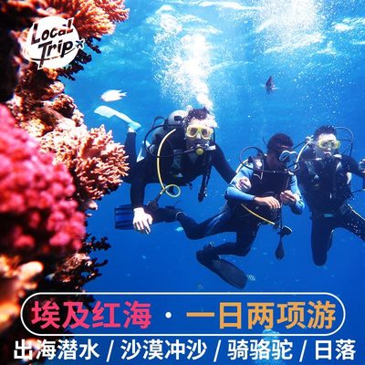 红海一日游
