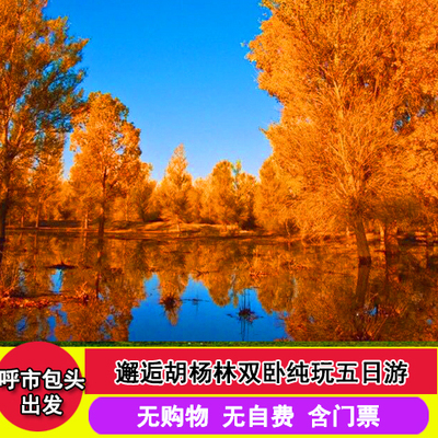 内蒙古胡杨林5日游