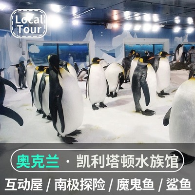 [凯莉-塔尔敦海洋生物水族馆-大门票][凯利塔顿水族馆-大门票]新西兰奥克兰水族馆