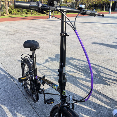 大行折叠自行车线管束线带