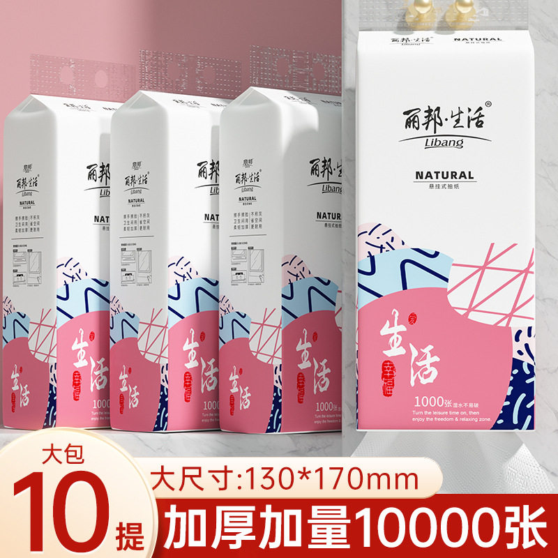 丽邦提挂式抽纸悬挂抽取式卫生纸家用擦手纸厕纸大包平板卫生纸巾