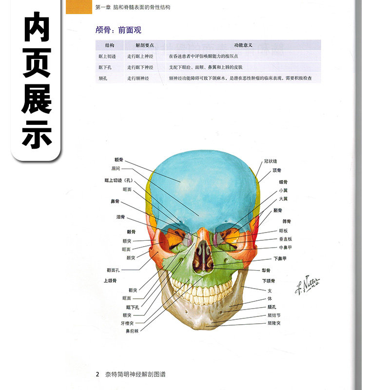 奈特简明神经解剖图谱精神病学神经解剖图谱 Netter解剖图谱系列医学工具书上海科学技术出版社_虎窝淘