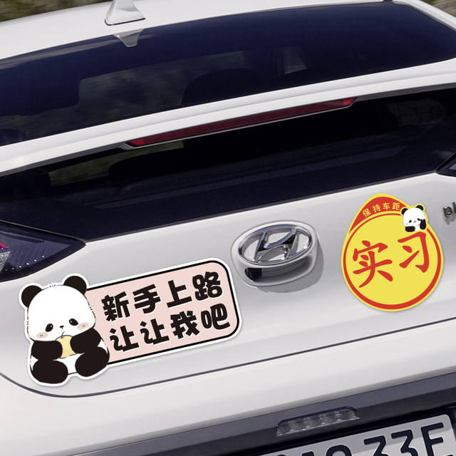 Internship car stickers for novice female drivers on the road magnetic ...