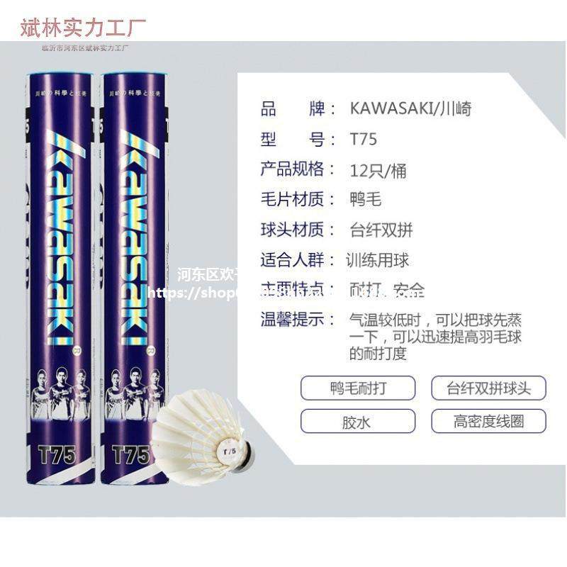 T75 羽毛球装备哪里买 中羽在线