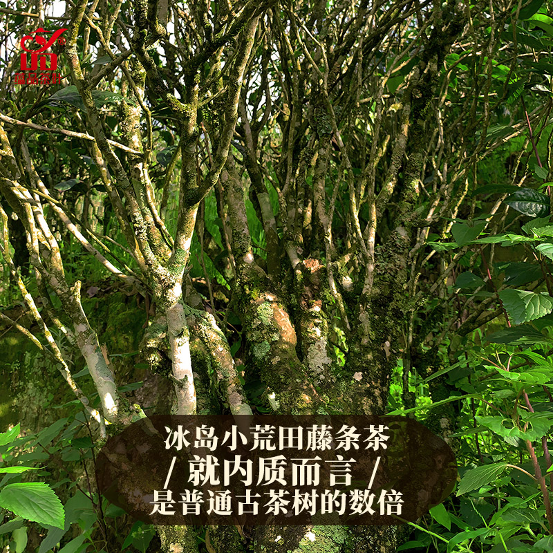 【冲量福利】蕴品 2018年《福饼》普洱茶熟茶饼茶礼盒装送礼357g_虎窝淘