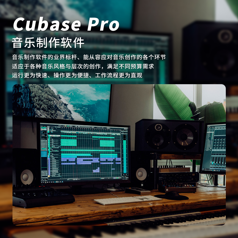 Steinberg/YAMAHA雅马哈Cubase pro13录音编曲专业修音软件商业版_虎窝淘
