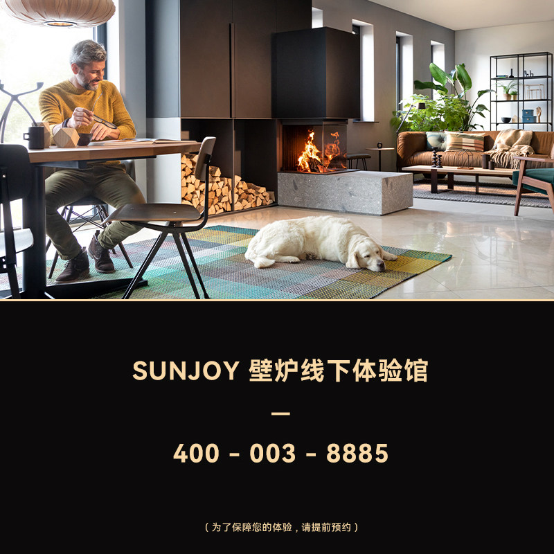 波兰进口 HITZE燃木壁炉真火取暖嵌入式两面观火烧柴别墅ARD90X41_虎窝淘