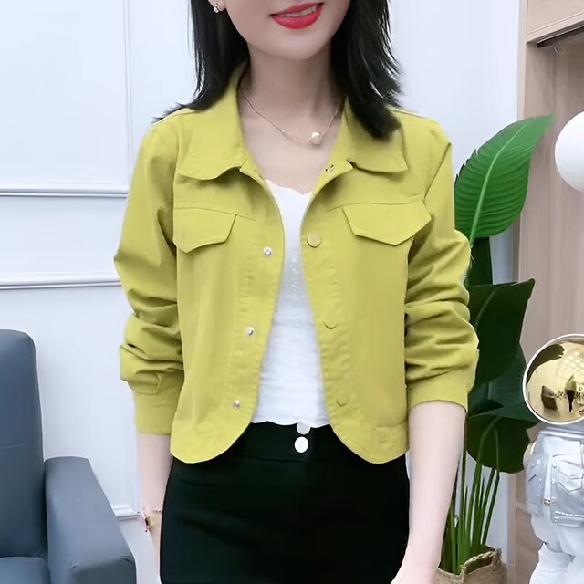 Small short jacket top for women in autumn 2025 new small fragrance ...