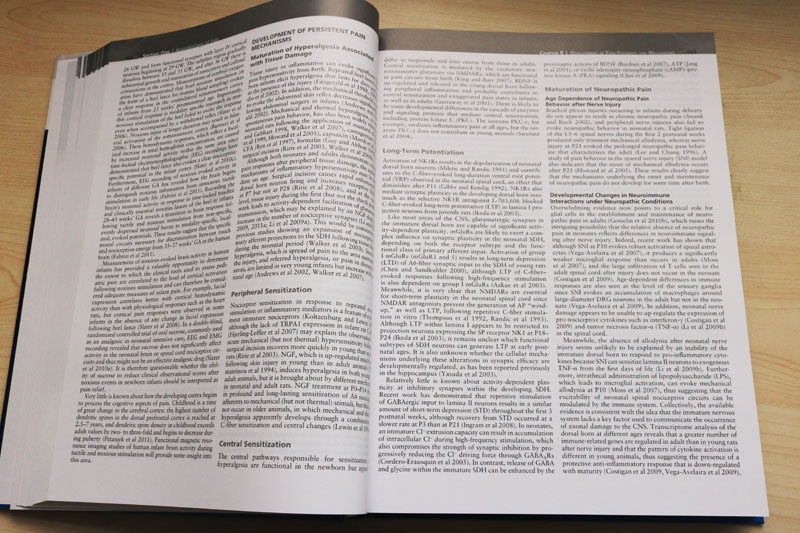 正版 Wall和Melzack疼痛学 Stephen B. McMahon等天津科技翻译出版公司_虎窝淘