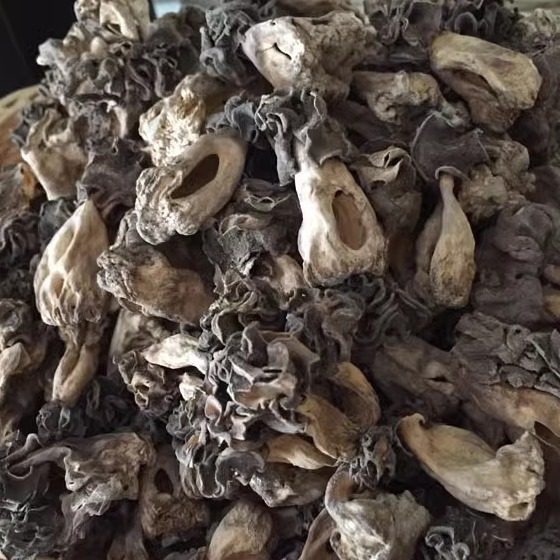 New Bachu Mushroom 100g Xinjiang Bachu Wild Mushroom Dried Edible ...