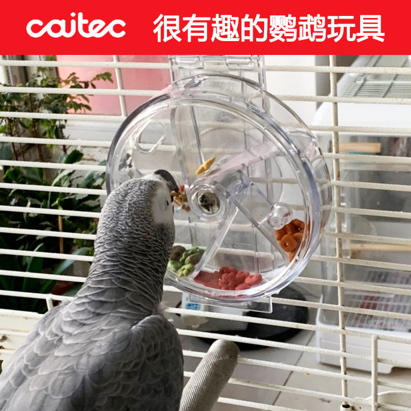 caitec鸚鵡的價格推薦 - 2025年3月 | BigGo格價香港站