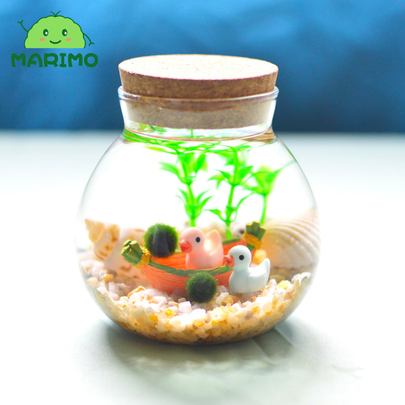 marimo宝宝海藻球微景观生态瓶玻璃室内水培植物趣味绿藻球马里莫_虎窝淘