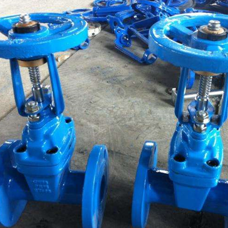 Z41X-16球墨铸铁明杆软密封法兰弹性座封闸阀DN50DN100DN150DN250_虎窝淘