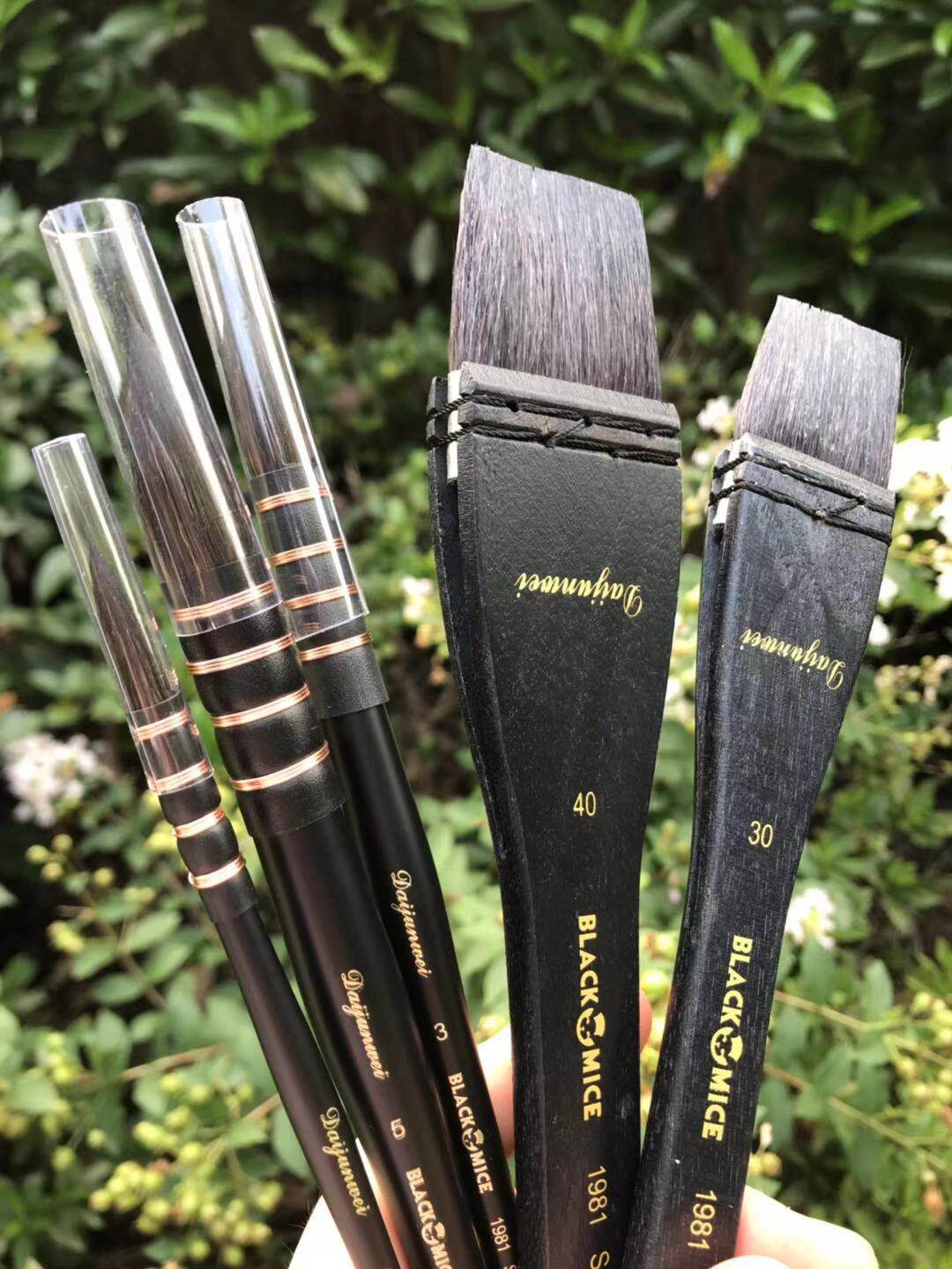 BLACK MICE黑鼠牌戴骏玮水彩套装学员优惠价_虎窝淘