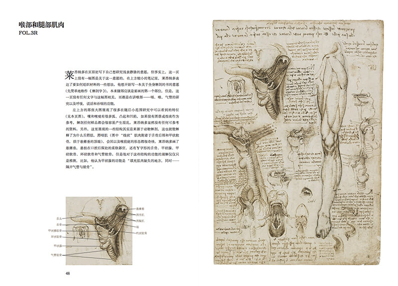 莱昂纳多达芬奇解构人体解剖学手稿A93幅解剖手绘图英国女王私人藏品解读达芬奇镜面笔记有书至美艺术科学史爱好者读物经典书籍_虎窝淘