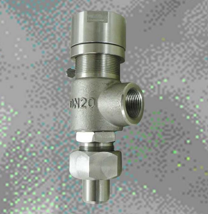 304不锈钢安全阀 弹簧微启式外螺纹安全阀A21W-16P DN20 6分_虎窝淘