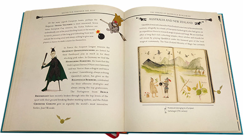 神奇的魁地奇球英文原版小说 Quidditch Through the Ages插图版哈利波特外传 JK罗琳英文版进口原版英语书籍_虎窝淘