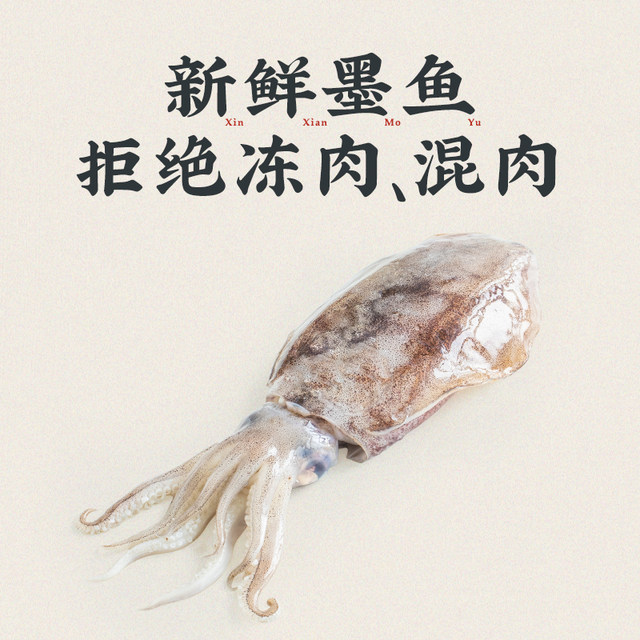 Chaoshan Jijin Cuttlefish Ball Handmade Pure Fish Ball Huazhi Ball ...