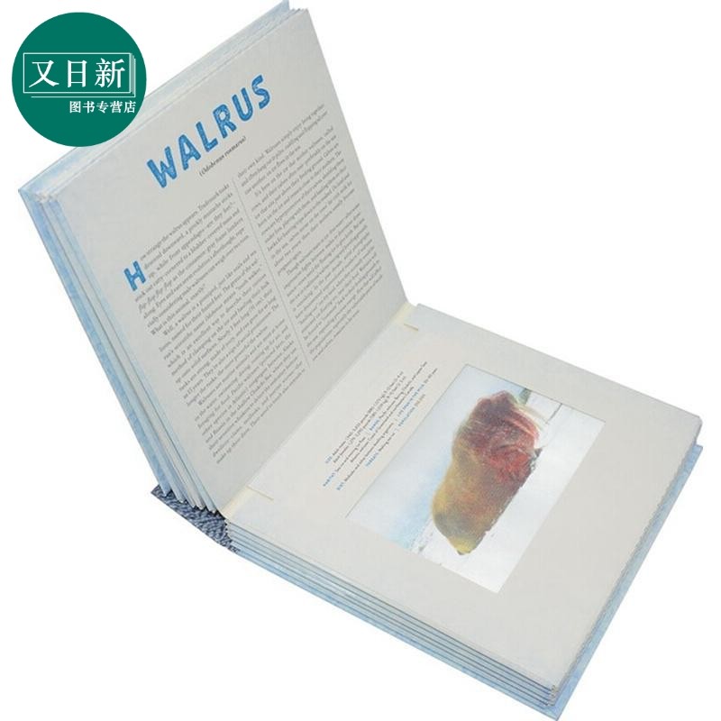 光与影视觉书系列2册英文原版 A Photicular Book会动的3D立体图片书纽约时报畅销书极地Polar陆地Outback又日新_虎窝淘