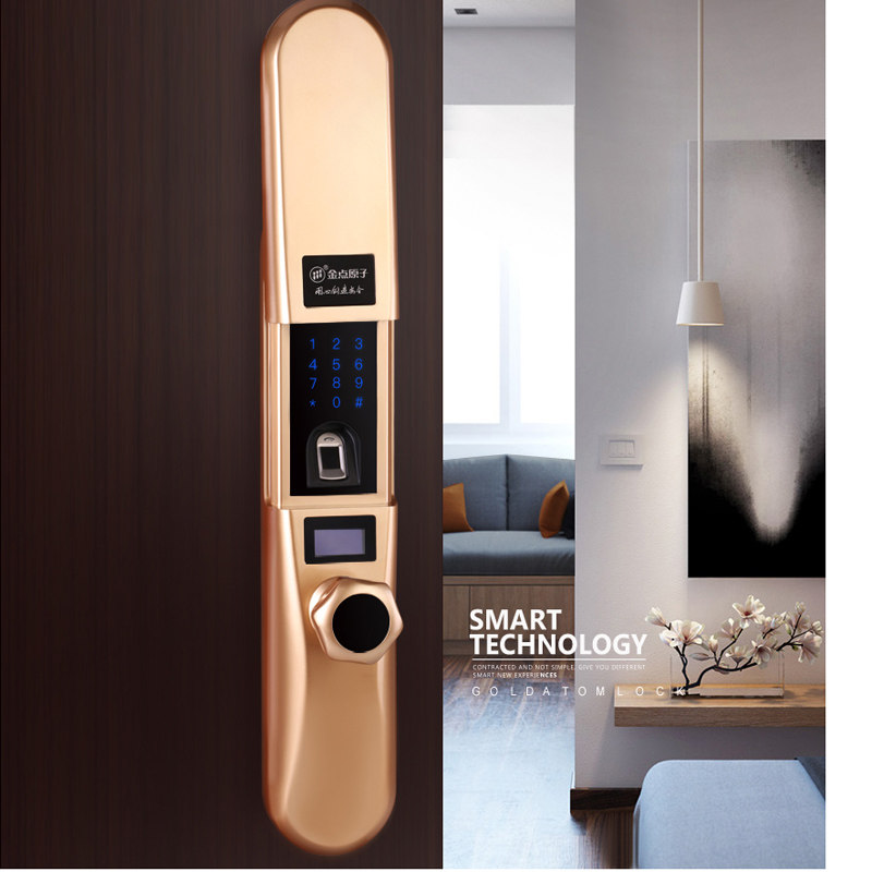 金点原子欧式指纹锁家用防盗门智能锁密码锁大门电子锁质保三年_虎窝淘