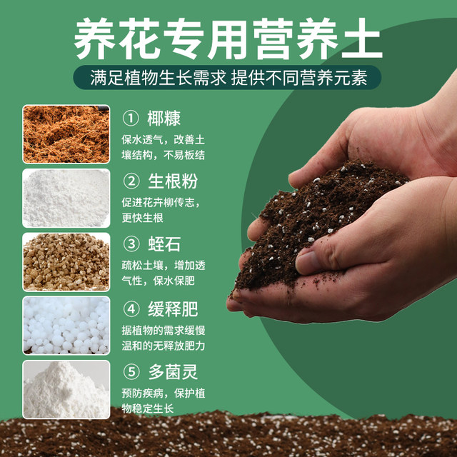 Flower soil pot planting flowers and flowers dedicated to nutritional ...