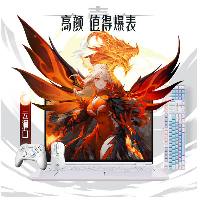 Mechanical Revolution Pterodalon 15Pro R7-8845h 15.3-inch RTX4060/4070 ...