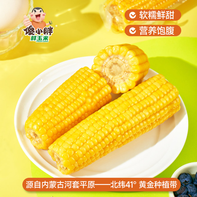 Silly Fat Inner Mongolia fresh glutinous corn fresh sweet corn ...