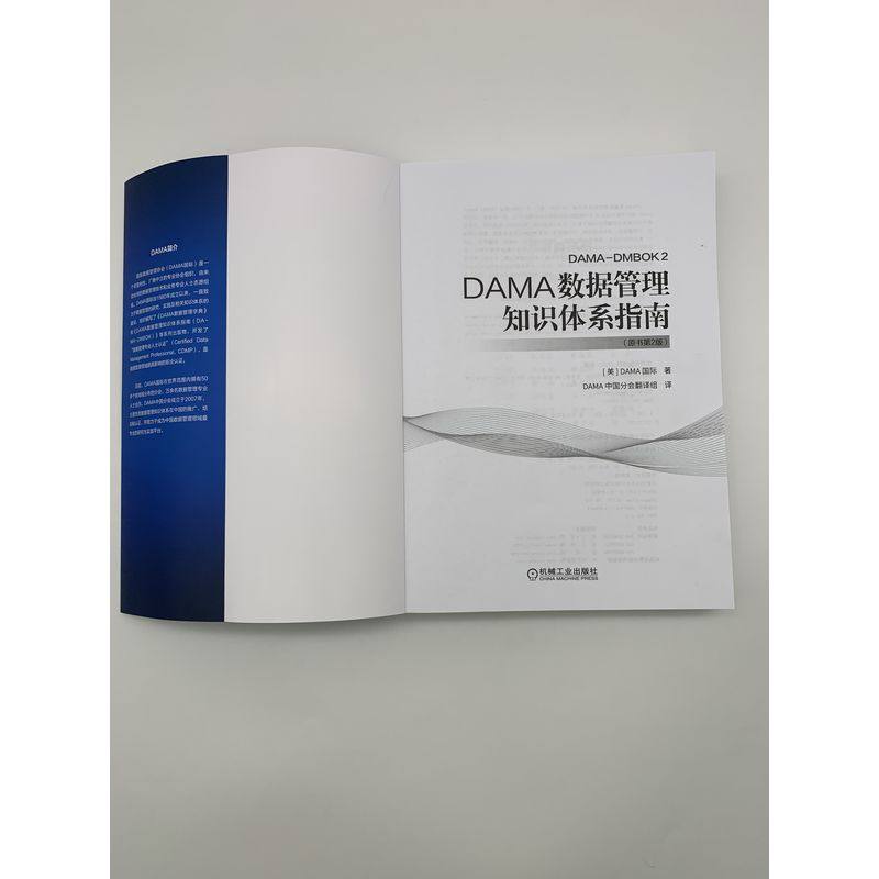 现货 DAMA数据管理知识体系指南原书第2二版 DAMA知识体系指南数据管理基础工具书商务智能和数据管理书数据管理的知识体系书_虎窝淘